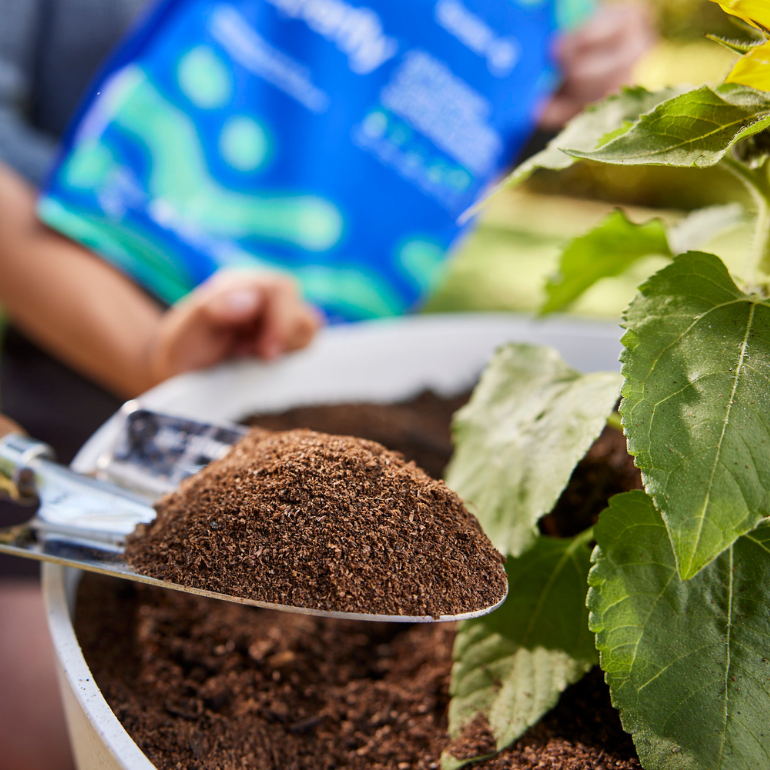 All Purpose Organic Fertiliser & Soil Enhancer – Bardee